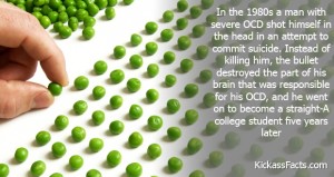 CONFESSIONS OF A FUNERAL DIRECTOR » 80 Death Facts: The Ultimate List